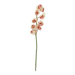 EUROPALMS Cymbidiumzweig, creme-pink, 90cm - Kunstpflanze