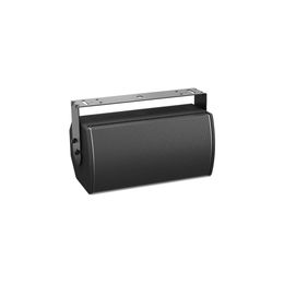 Bose ArenaMatch Utility AMU108 Au&szlig;enlautsprecher schwarz - einzeln