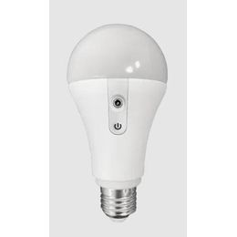 Astera FP5 - NYX Bulb 10W RGBAM E27, LumenRadio - IP44- 1 Pixel, wei&szlig;