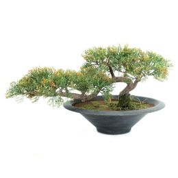 EUROPALMS Bonsai-Zeder 160 Spitzen 40cm, "Cedar", Kunstpflanze