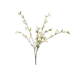 EUROPALMS Kirschzweig, cremefarben, 60cm, Kunstpflanze