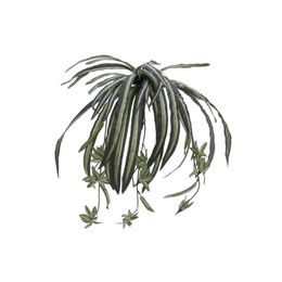 EUROPALMS Gr&uuml;nlilie, 60cm - Kunstpflanze