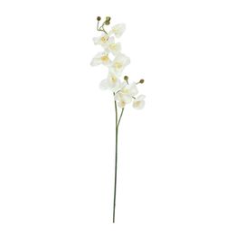 EUROPALMS Orchideenzweig, creme-wei&szlig;, 100cm - Kunstpflanze