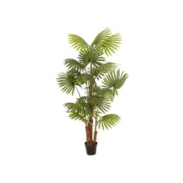 EUROPALMS F&auml;cherpalme, Kunstpflanze, 165cm