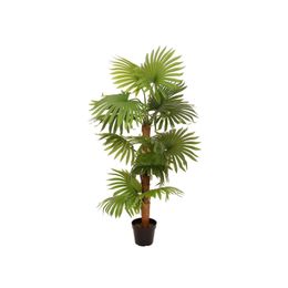 EUROPALMS F&auml;cherpalme, Kunstpflanze, 130cm
