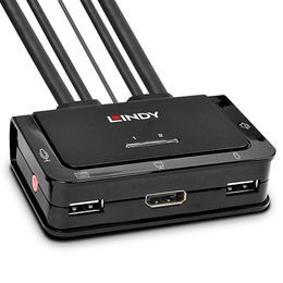 Lindy 42344 2 Port DisplayPort 1.2, USB 2.0 & Audio Cable KVM Switch - Umschalten zwi