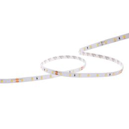 Artecta Cartago Ribbon 2835 - 64 - CCT