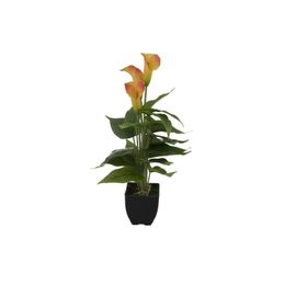 EUROPALMS Calla mini, gelb orange, 43cm - Kunstpflanze