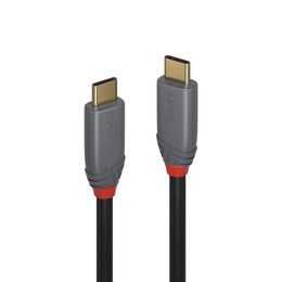 Lindy 36903 2m USB 3.2 Typ C Kabel, 20GBit/s, 5A, PD, Anthra Line - USB Typ C Stecker an C Stecker