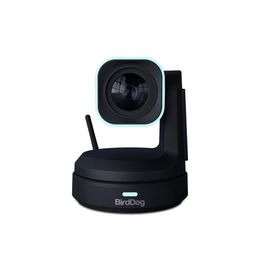 BirdDog X1 30x optischer Zoom (Schwarz)