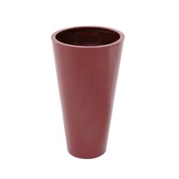 EUROPALMS LEICHTSIN ELEGANCE-69, rot, gl&auml;nzend