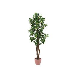 EUROPALMS Zitronenbaum 180cm, Kunstpflanze