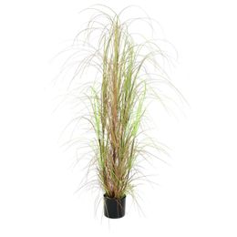EUROPALMS Grasbusch, 150cm - Kunstpflanze