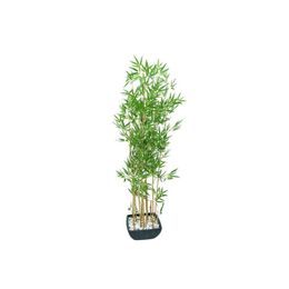 EUROPALMS Zierbambus in Dekoschale, 150cm, Kunstpflanze