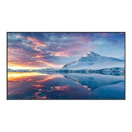 Panasonic TH-50SQ3W - 50" (126cm) 4K UHD LCD-Display (500cd/m&sup2; - Lautsprecher - 24/7)