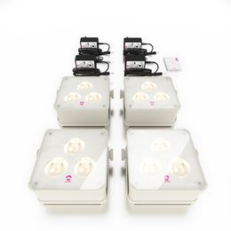 APE Labs ApeLight Maxi V2 - Set of 4 - creme - (Akku Version)