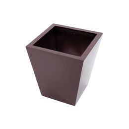 EUROPALMS LEICHTSIN BASIC-50, braun, gl&auml;nzend