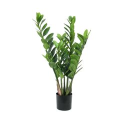 EUROPALMS Zamifolia, 70cm - Kunstpflanze