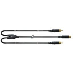 Cordial INTRO CFY 0,3 ECC - 0,3 m, REAN Cinchbuchse gold / 2 x Cinch gold