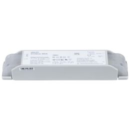 ELDOLED ECOdrive AC 30 W konstanter Strom - ELDOLED ECO360A DALI 1 Ausgang
