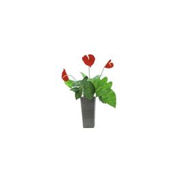 EUROPALMS Anthurium 3 Bl&uuml;ten 51 Bl&auml;tter 71cm, Kunstpflanze