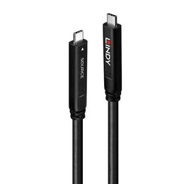 Lindy 43398 10m USB 3.2 Gen 2 & DP 1.4 Typ C Hybridkabel (4 Lanes)