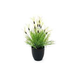 EUROPALMS Federlattich, 40cm, Kunstpflanze