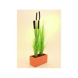 EUROPALMS Schilfgras hellgr&uuml;n mit Rohrkolben 152cm, Kunstpflanze