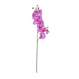 EUROPALMS Orchideenzweig, lila, 100cm - Kunstpflanze