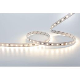 Artecta Cali Ribbon 2835 - 72 - CCT