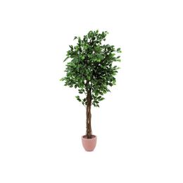 EUROPALMS Ficus-Benjamini Multi-Stamm, 180cm, Kunstpflanze