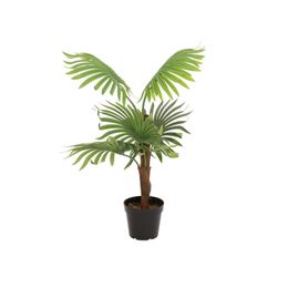 EUROPALMS F&auml;cherpalme, Kunstpflanze, 88cm