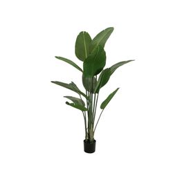 EUROPALMS Strelitzie, Kunstpflanze, 170cm