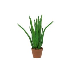 EUROPALMS Aloe-Vera-Pflanze, 63cm - Kunstpflanze