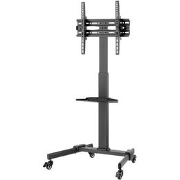 goobay TV-Pr&auml;sentationsst&auml;nder f&uuml;r Monitore von 37"- 70" bis 35 kg