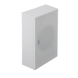 DAP-Audio DAP WS-6W - Wei&szlig;er Wandlautsprecher (6 W)