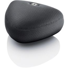 DPA d:mension 5100 Mobile 5.1 Surround Mic