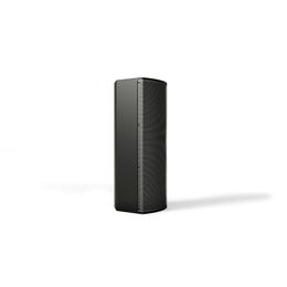 Bose ArenaMatch AMU208-120 120x60, OUTDOOR LDSPK BLK -schwarz