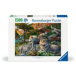 RAVENSBURGER VERLAG Erwachsenenpuzzle 1500 Teile - Wolfsrudel im Fr&uuml;hlingserwachen