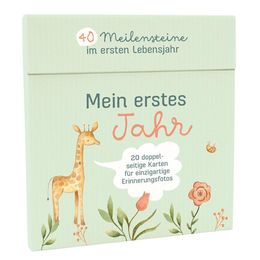Mein erstes Jahr