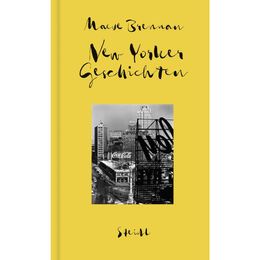 S&auml;mtliche Erz&auml;hlungen, Band 2: New Yorker Geschichten