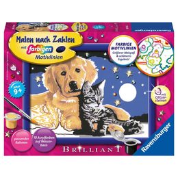 RAVENSBURGER VERLAG Funkelnder Sternenhimmel, Brilliant. Malen nach Zahlen Sonderserie E