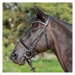 Kieffer Trensenzaum Kieffer Ultrasoft Sue schwarz Warmblut