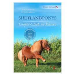 Shetlandponys