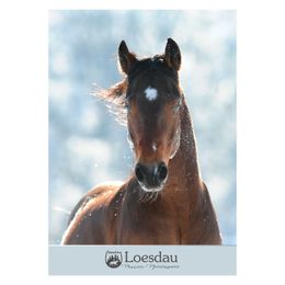 Loesdau Gutschein zum Drucken