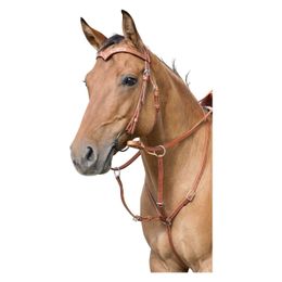 L-pro West Running-Martingal Harness braun