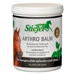 Stiefel ARTHRO BALM 1 kg