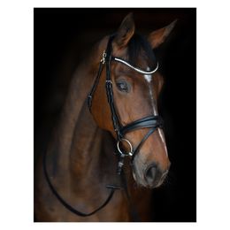 Cheval de Luxe Trensenzaum Catania schwarz VB