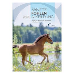 Sanfte Fohlenausbildung