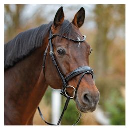 Passier Trensenzaum Noblesse schwarz WB